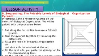 Levels of biological Organization.pptxxxxxxxxx | PPTX