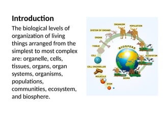 LEVELS OF BIOLOGICAL ORGANIZATION - SCIENCE.pptx