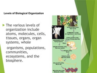Levels of biological organization...pptx