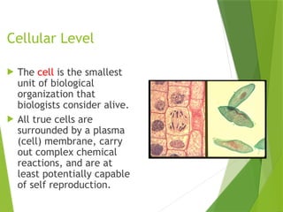 Levels of biological organization...pptx