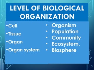 Levels of Biological Organization for Grade 7 | PPTX