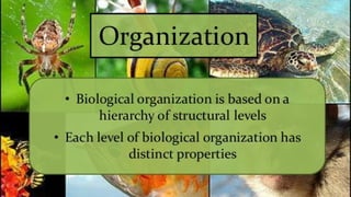 levels of biological organization (2).pptx