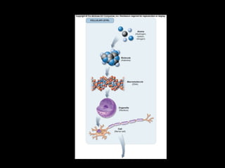levels of biological organization biology 7.ppt