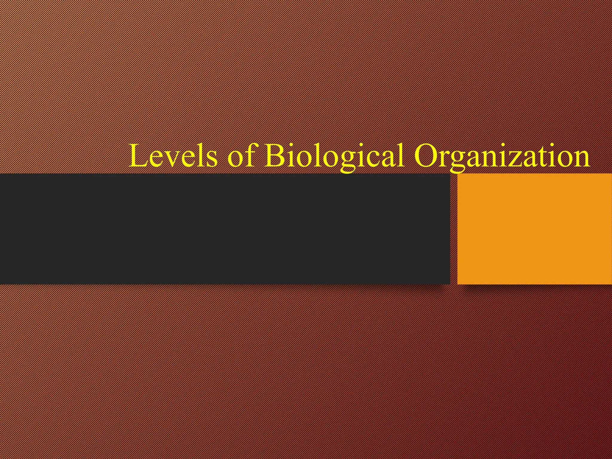 levels of biological organization biology grade 7 Second quarter.ppt