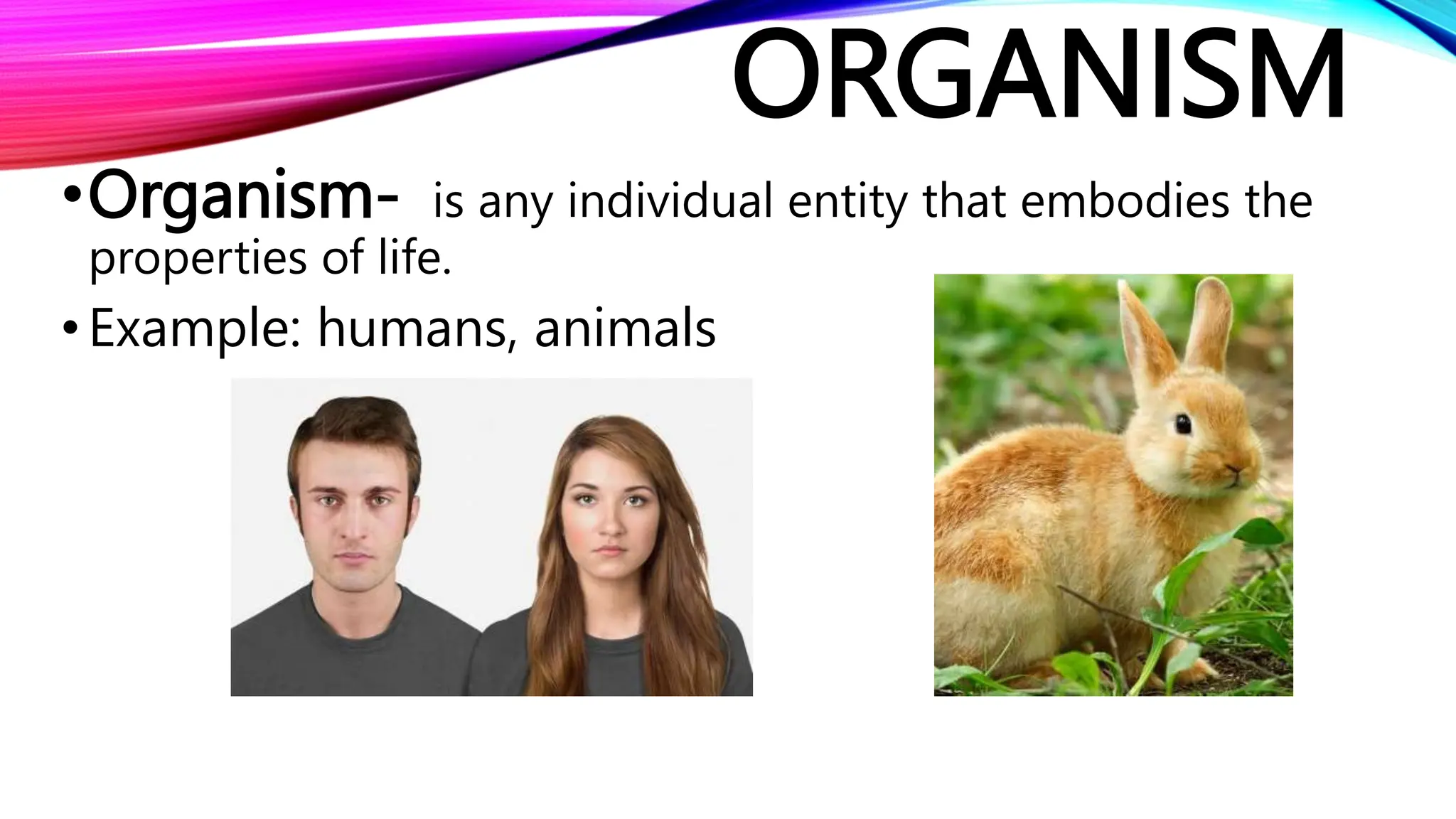 Levels of biological organization Demo.pptx