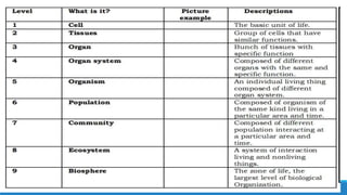 levels of biological organizations.pptx