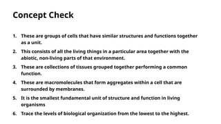 Levels of Biological Organization Updated | PPTX