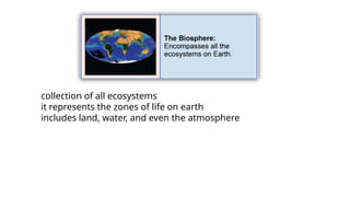 Levels of Biological Organization Updated | PPTX