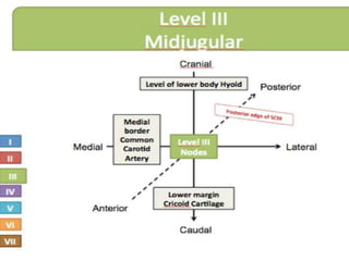 Levels of cervical nodes | PPTX