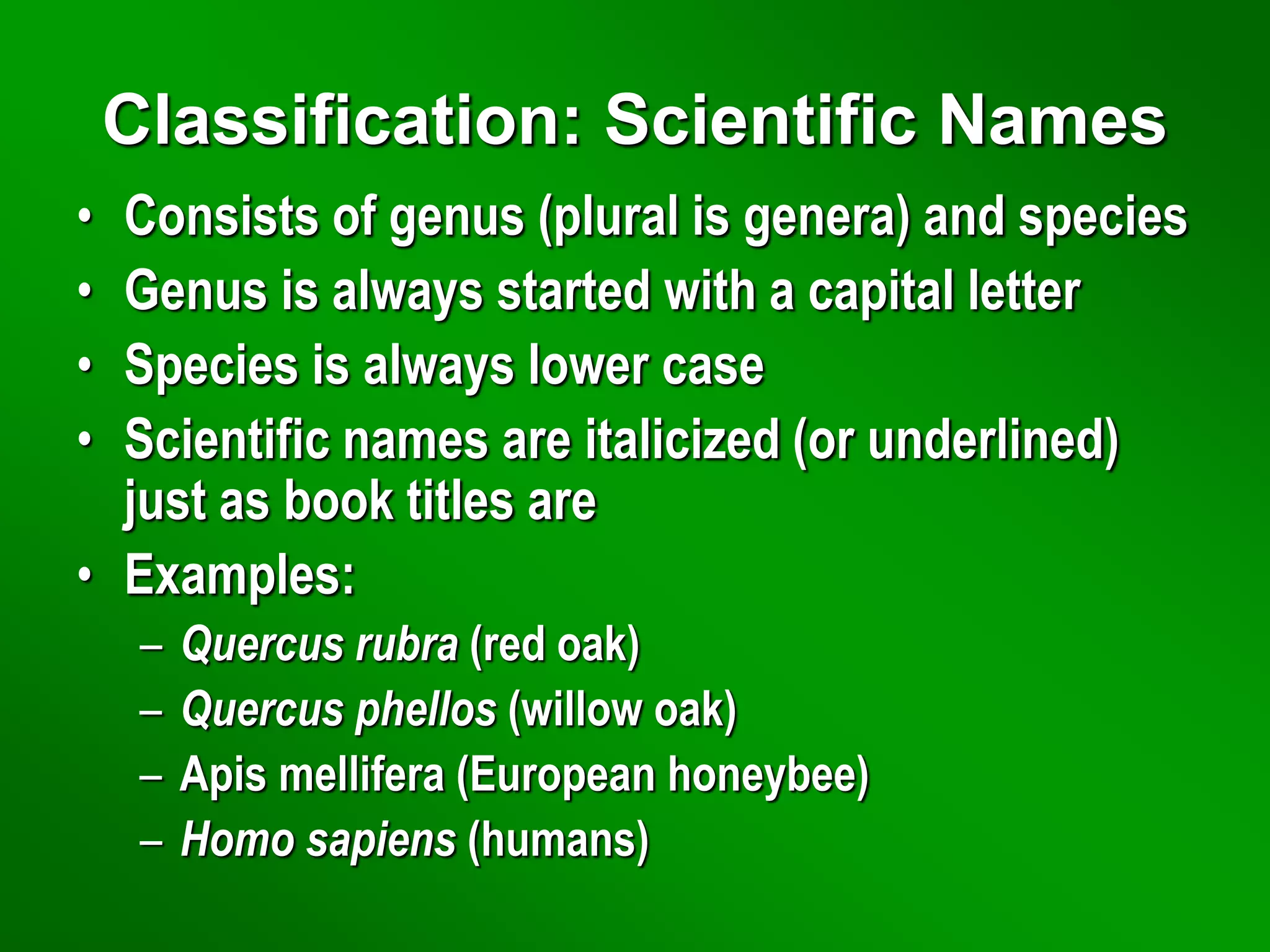 Levels of classification | PPTX