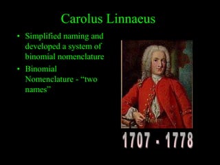 Levels of classification | PPTX | Biological Sciences | Science