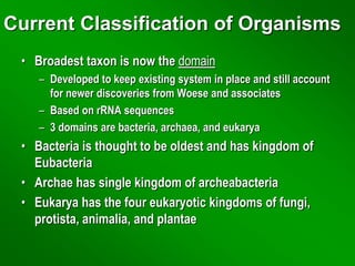 Levels of classification | PPTX