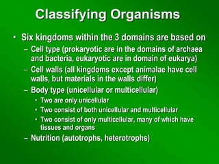 Levels of classification | PPTX