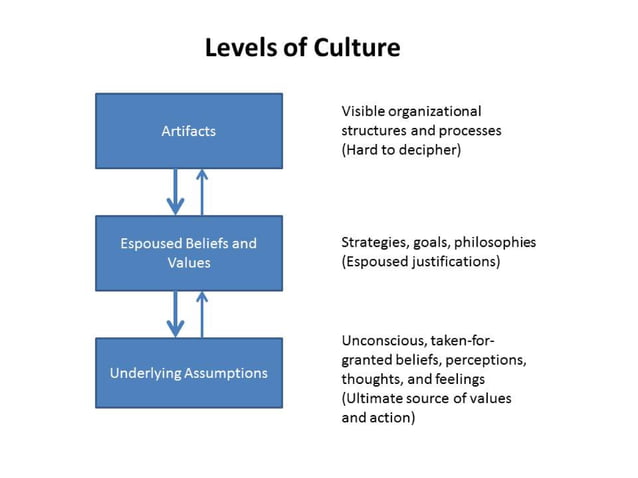 Levels Of Culture | PDF