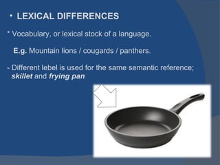 Levels of dialects | PPT