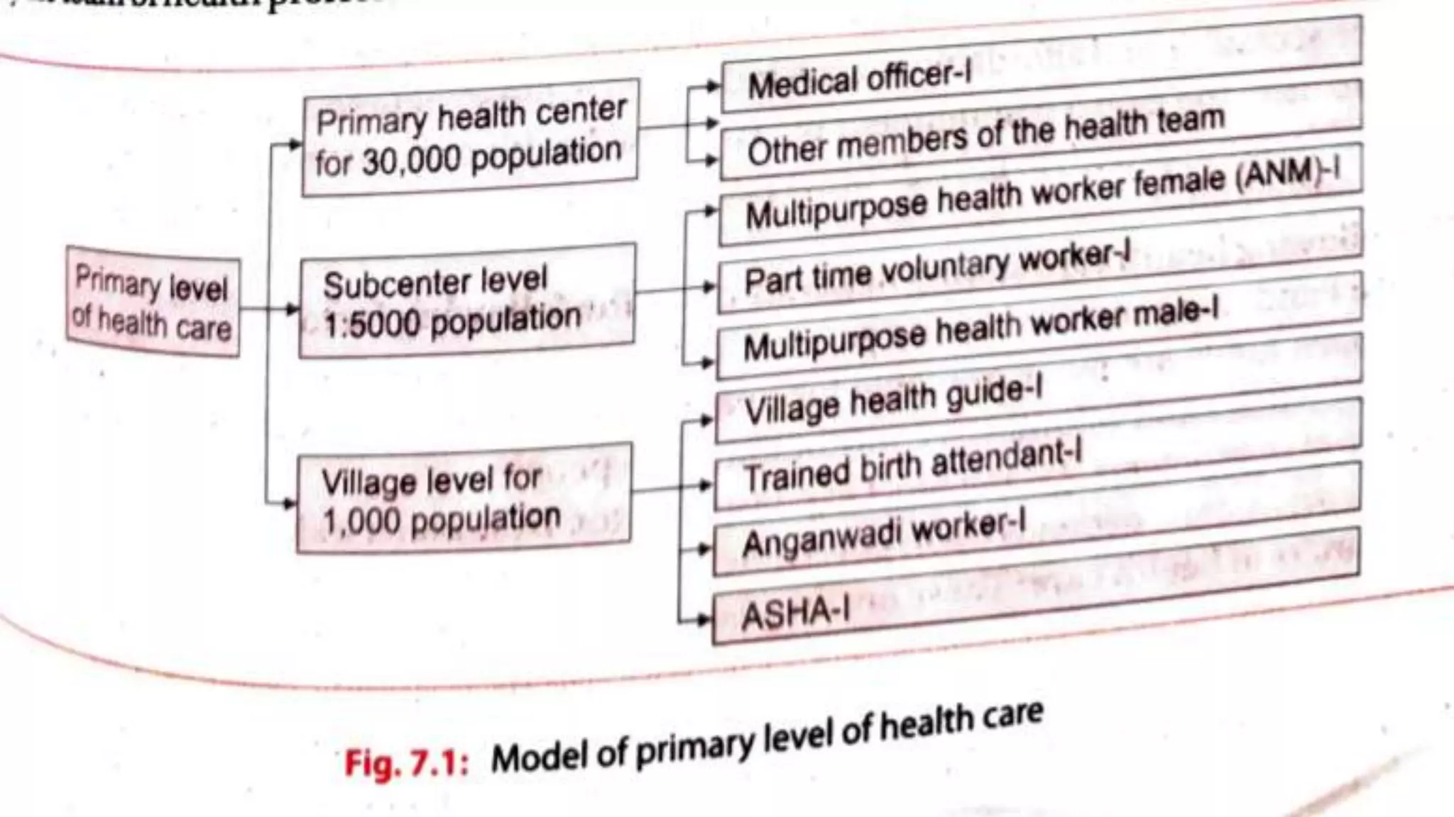 Levels of health care and health care settings | PPTX