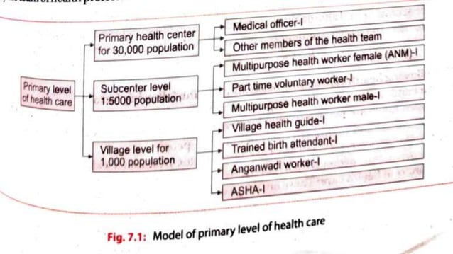 Levels of health care and health care settings | PPTX | Pregnancy ...