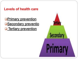 Levels of health care ppt | PPTX