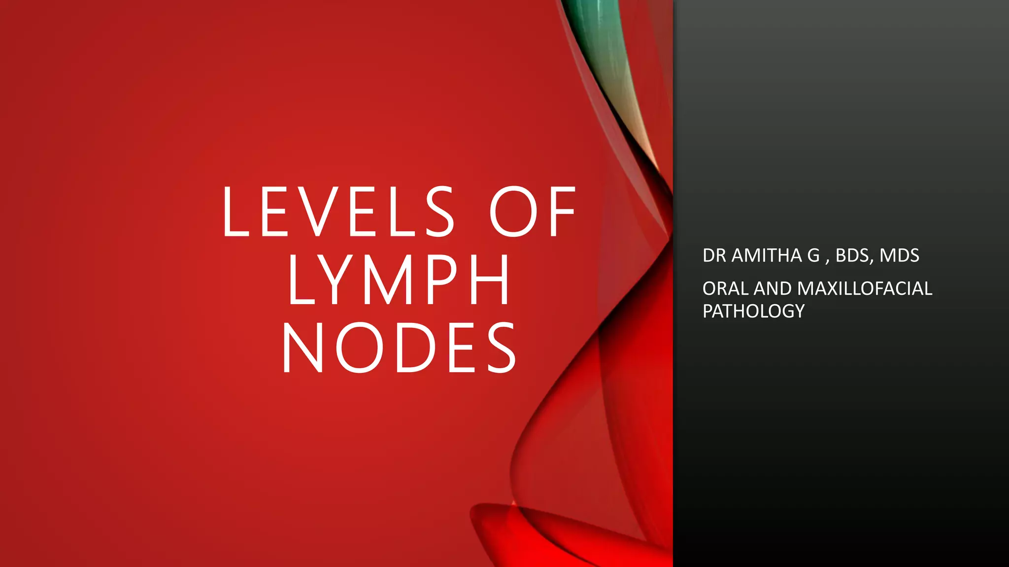 Levels of Lymph Nodes | PPTX