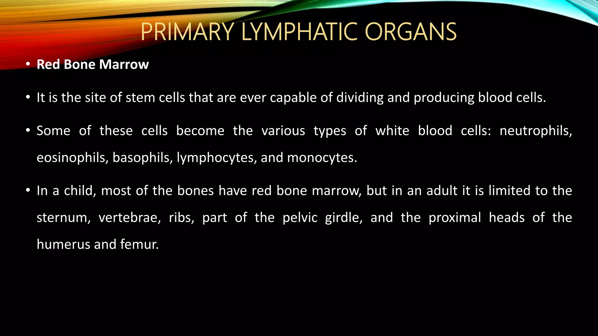 Levels of Lymph Nodes | PPTX