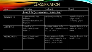 Levels of Lymph Nodes | PPTX