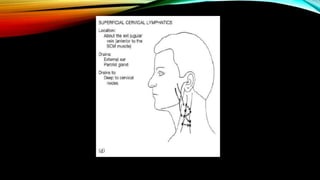 Levels of Lymph Nodes | PPTX