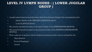 Levels of lymph nodes in head and neck | PPTX
