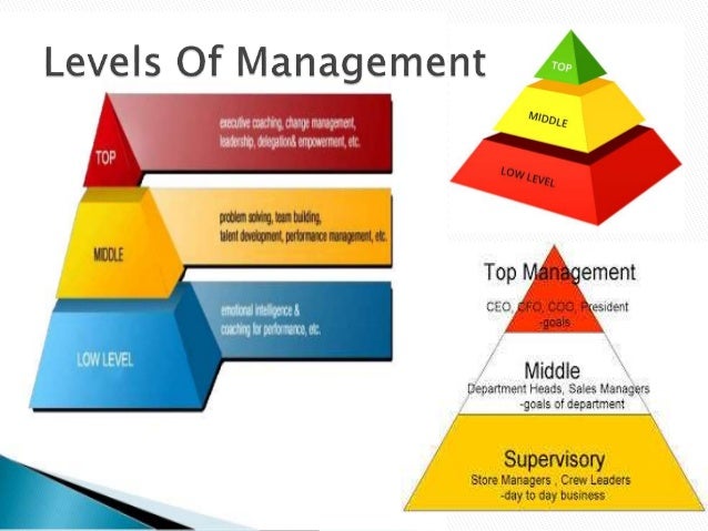 Levels of management