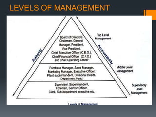 Levels of Management.pptx