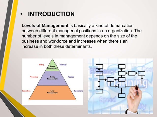 Levels of management | PPT