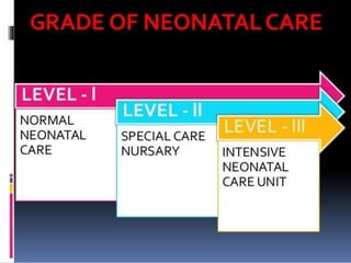 Levels of neonatal care | PPTX