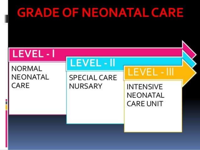 Nicu Levels Of Care Chart | Neonatal Care Unit Guidelines – DZQUU