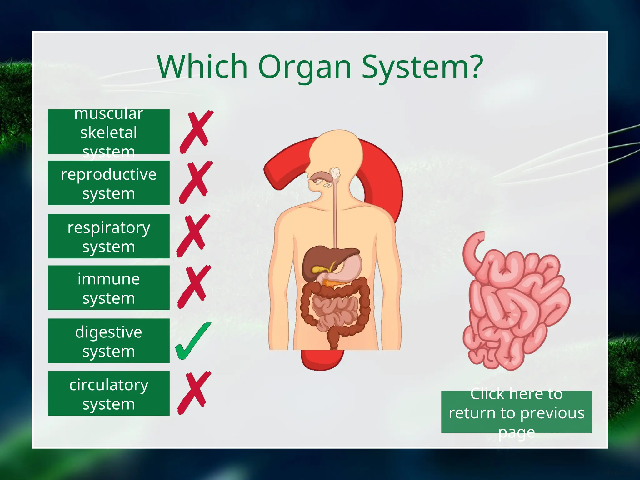 Levels of Organisation Biology PowerPoint.ppt