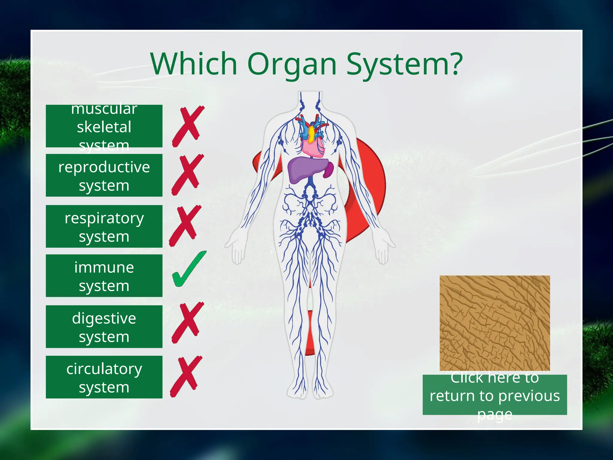 Levels of Organisation Biology PowerPoint.ppt