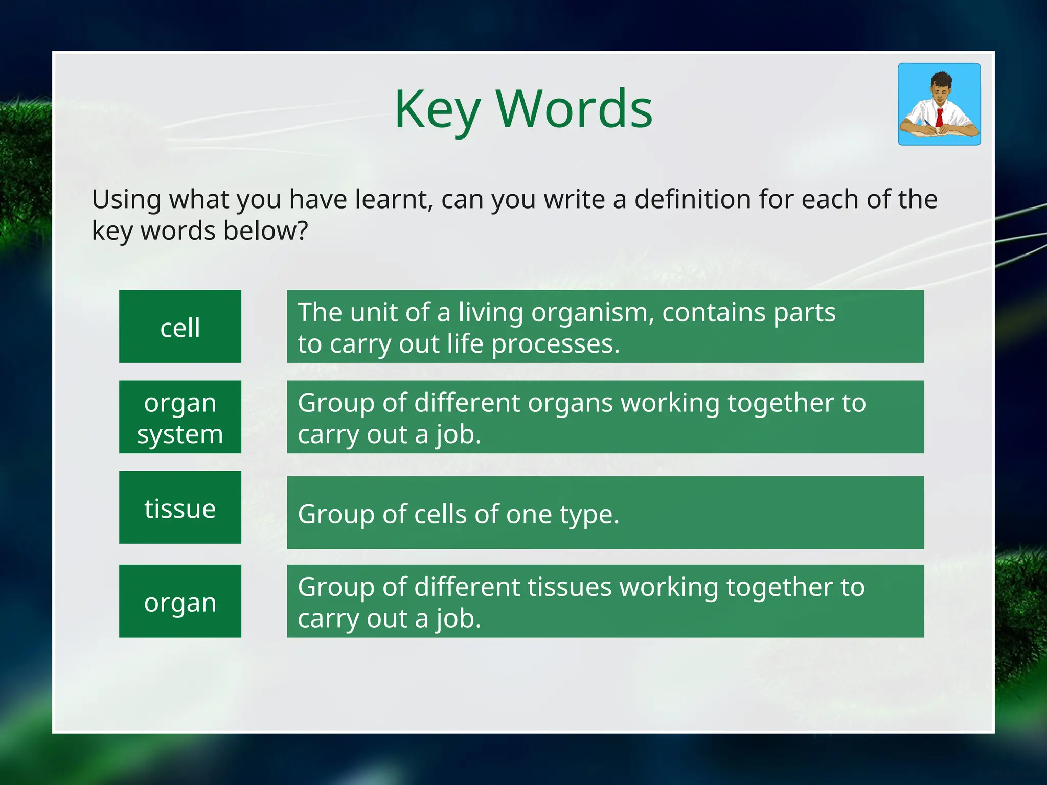 Levels of Organisation Biology PowerPoint.ppt