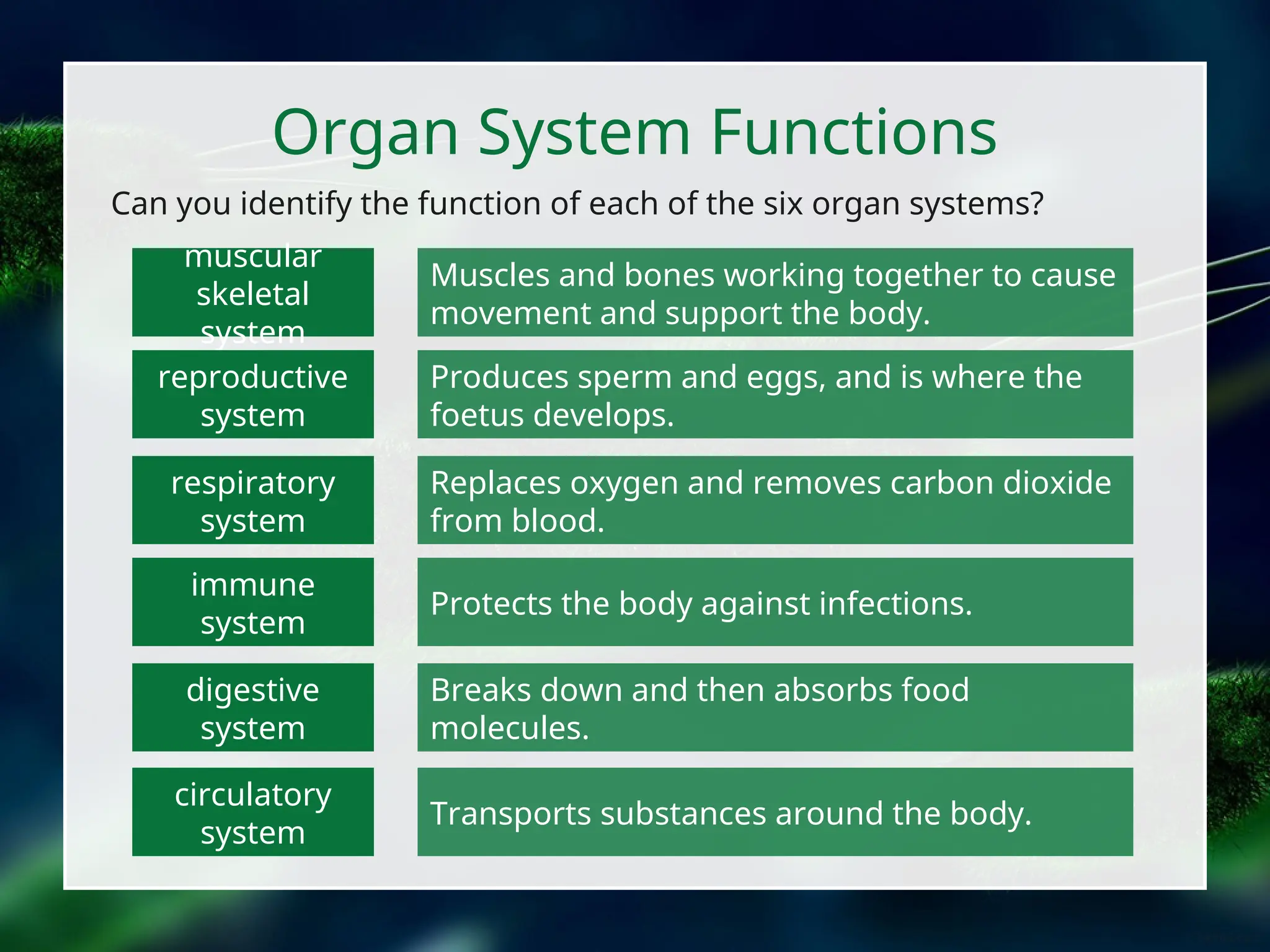 Levels of Organisation Biology PowerPoint.ppt