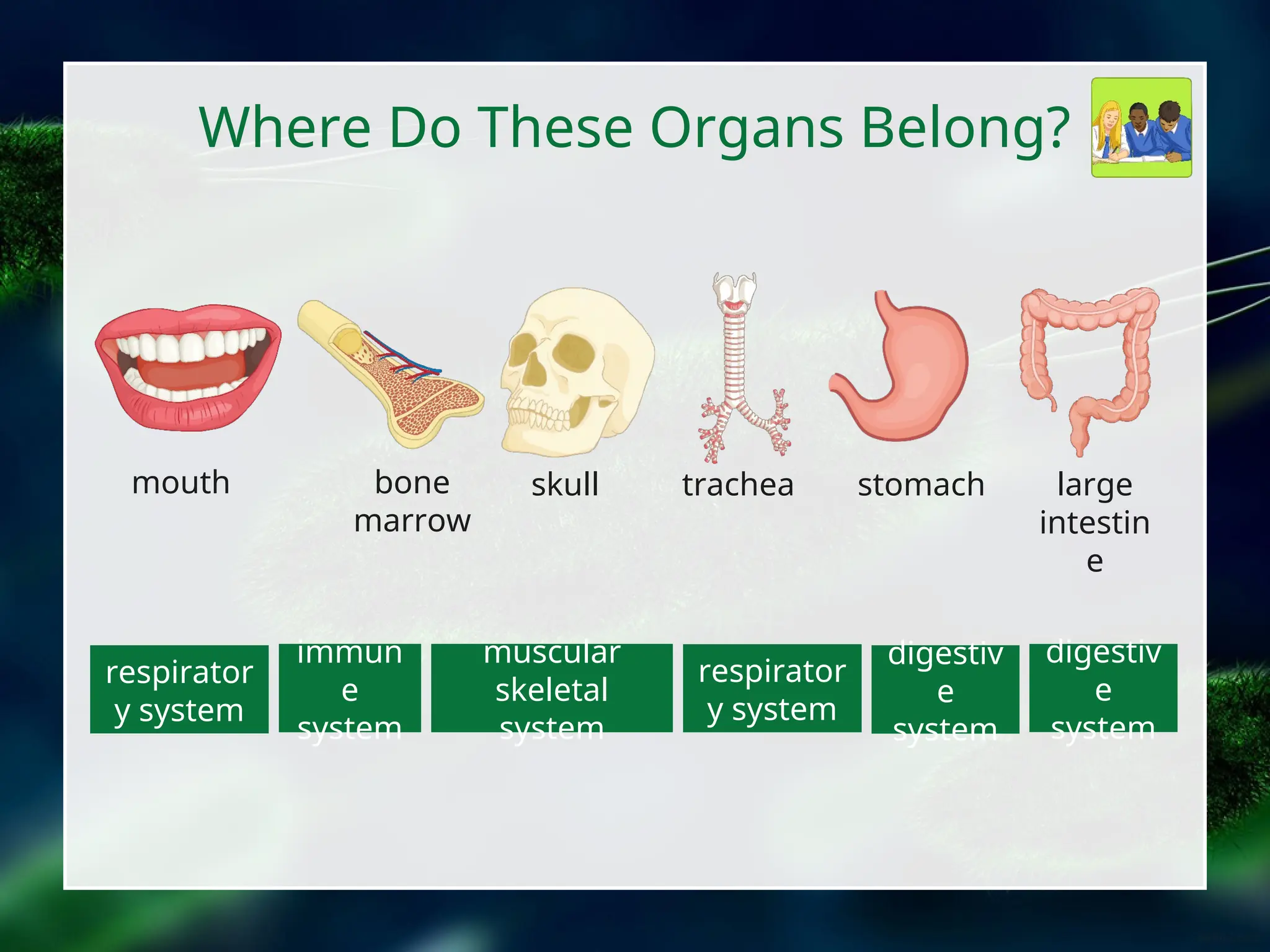 Levels of Organisation Biology PowerPoint.ppt
