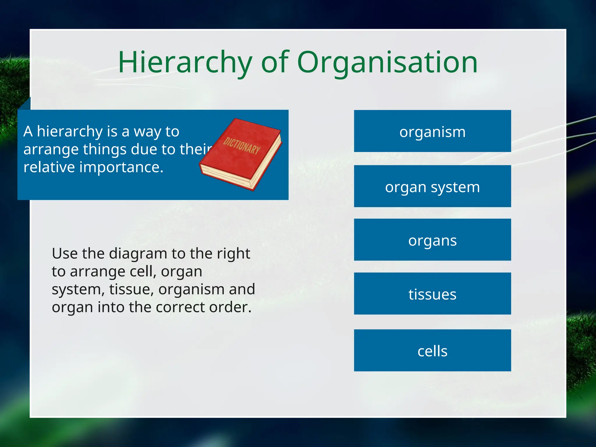 Levels of Organisation Biology PowerPoint.ppt