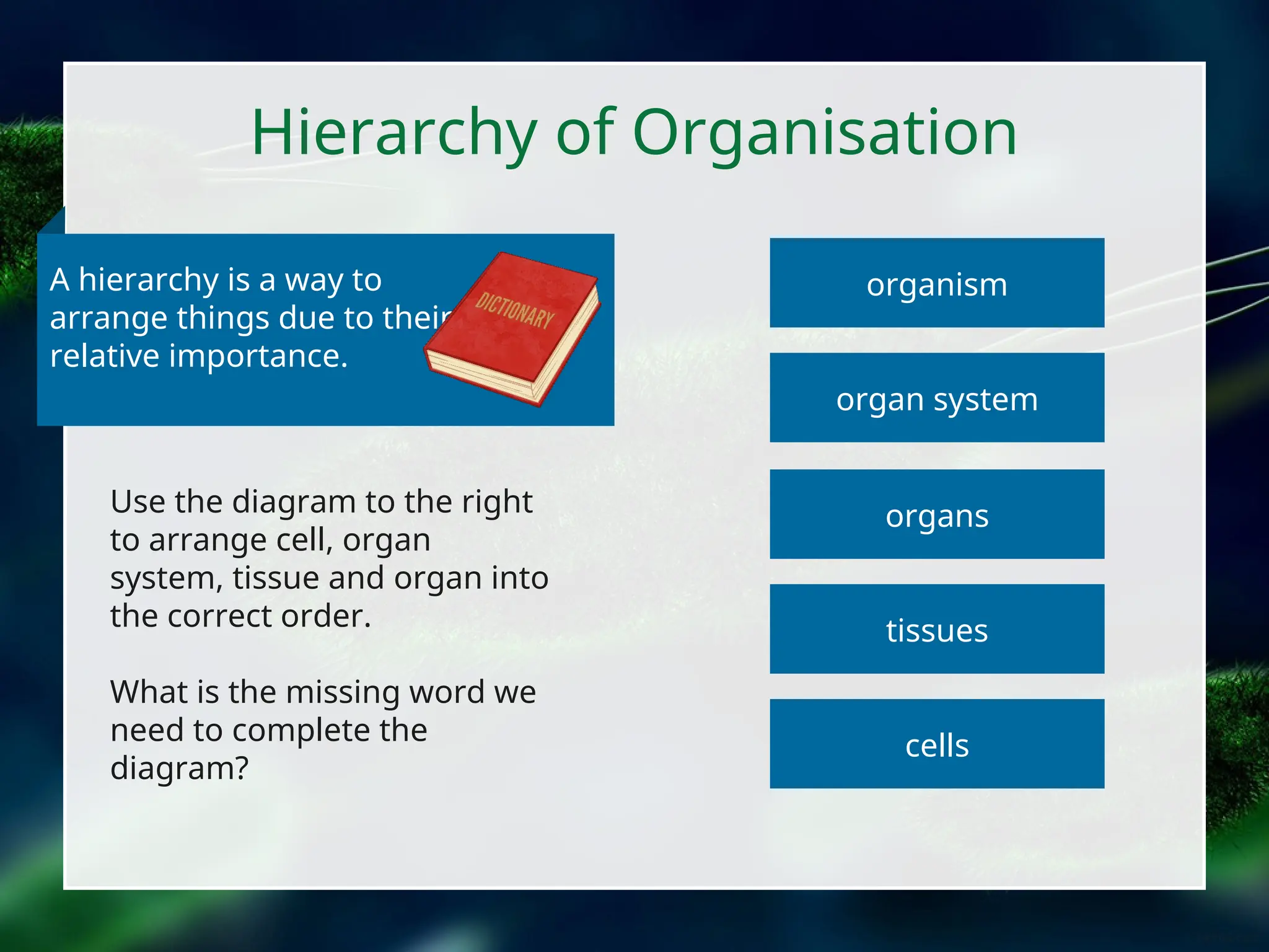 Levels of Organisation Biology PowerPoint.ppt
