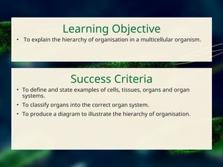 Levels of Organisation Biology PowerPoint.ppt