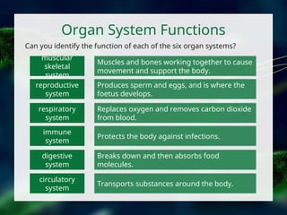 Levels of Organisation Biology PowerPoint.ppt