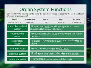 Levels of Organisation Biology PowerPoint.ppt