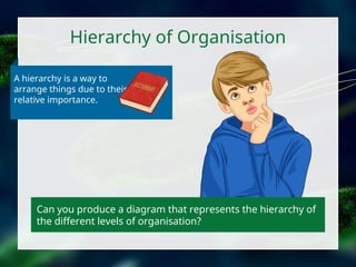 Levels of Organisation Biology PowerPoint.ppt