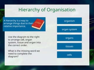 Levels of Organisation Biology PowerPoint.ppt