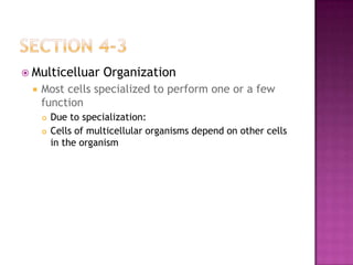 Levels Of Organization | PPTX