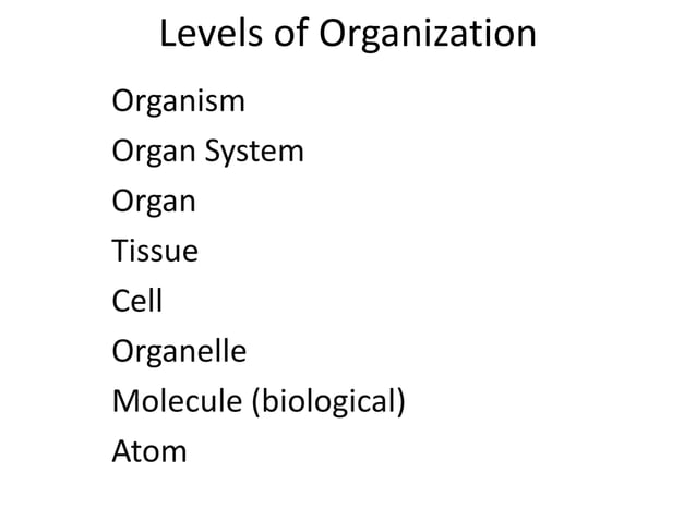 Levels of organization | PPT