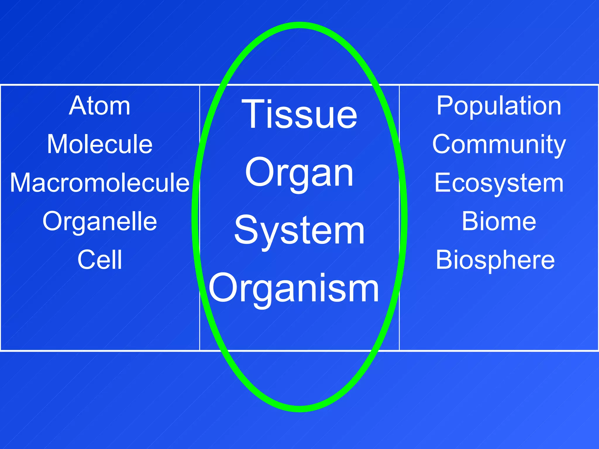 Levels of organization | PPT