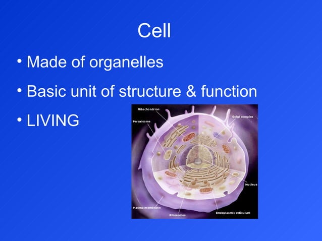 Levels of organization | PPT