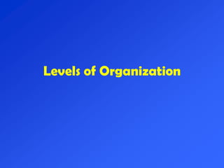 Levels of Organization | PPTX