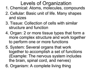 Levels of organization | PPTX